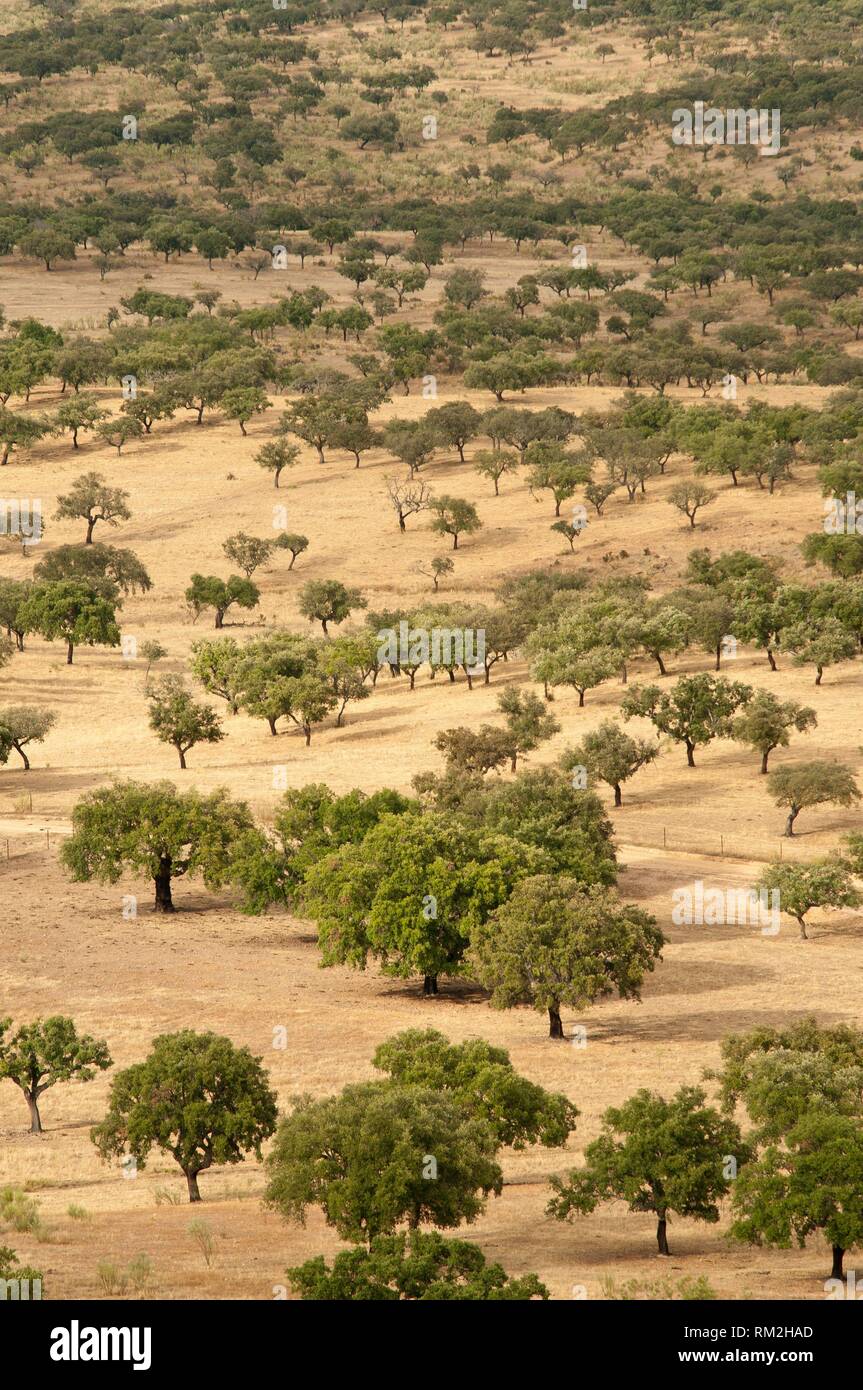 Badajoz spain hi-res stock photography and images - Alamy