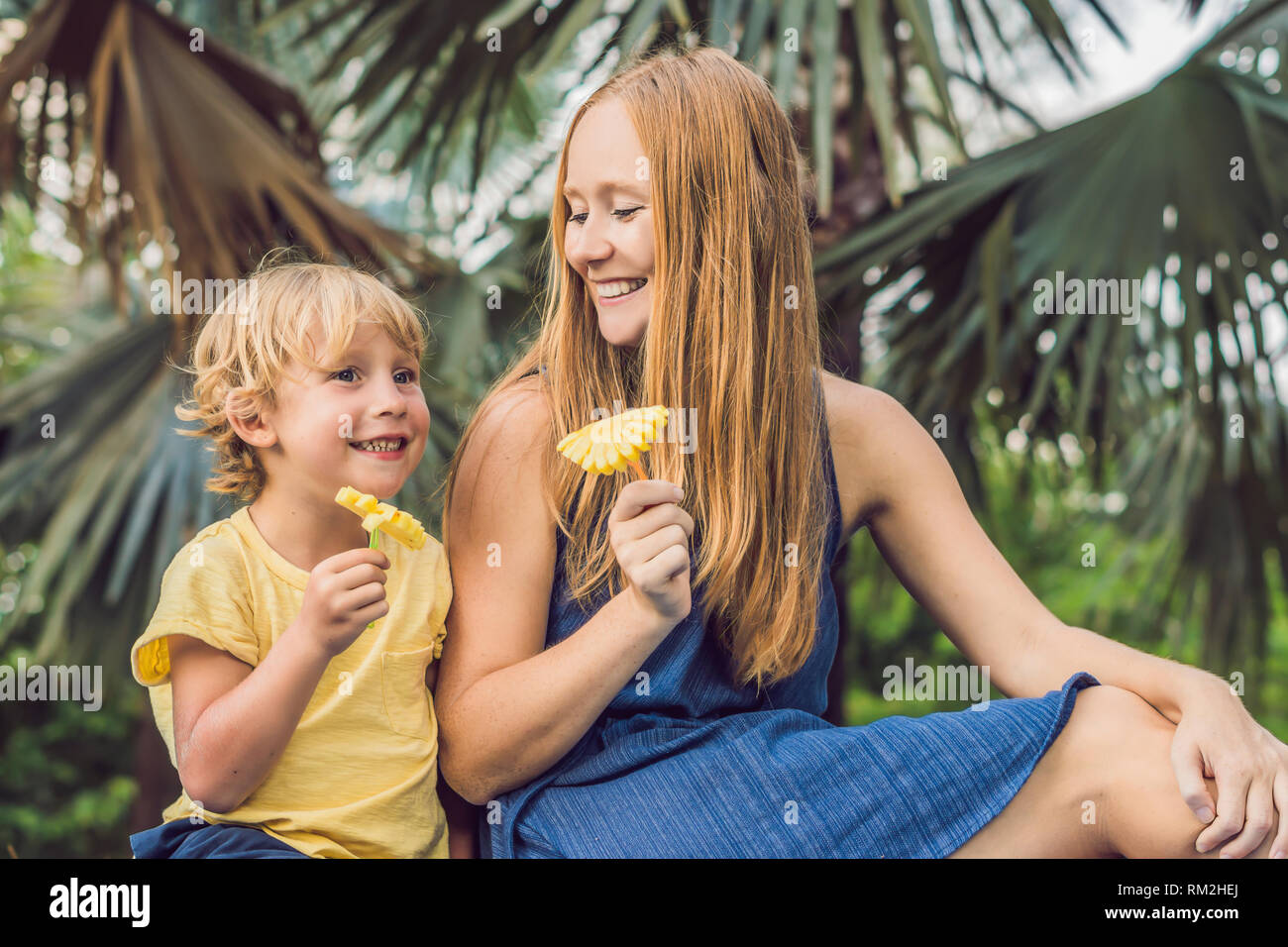 Mango family hi-res stock photography and images - Alamy