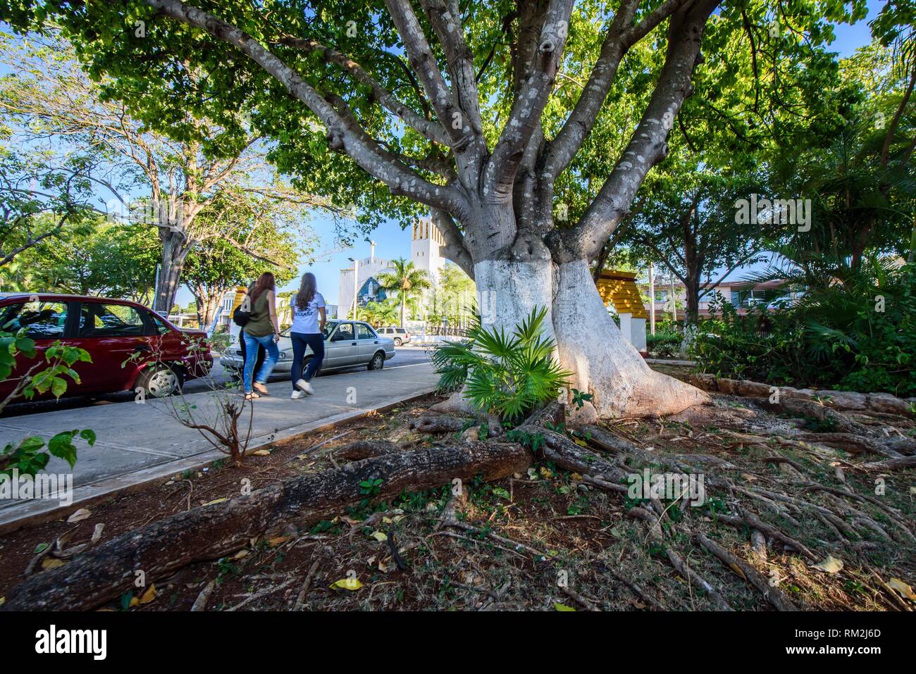 People merida yucatan hi-res stock photography and images - Alamy