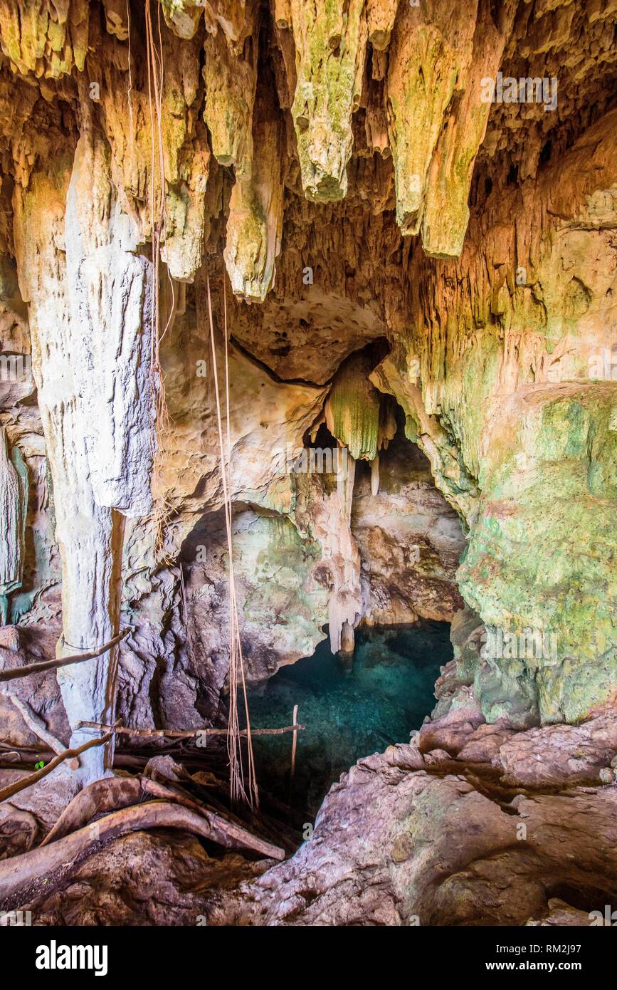Route of Cenotes, Cuzama (Yucatan, Mexico Stock Photo - Alamy