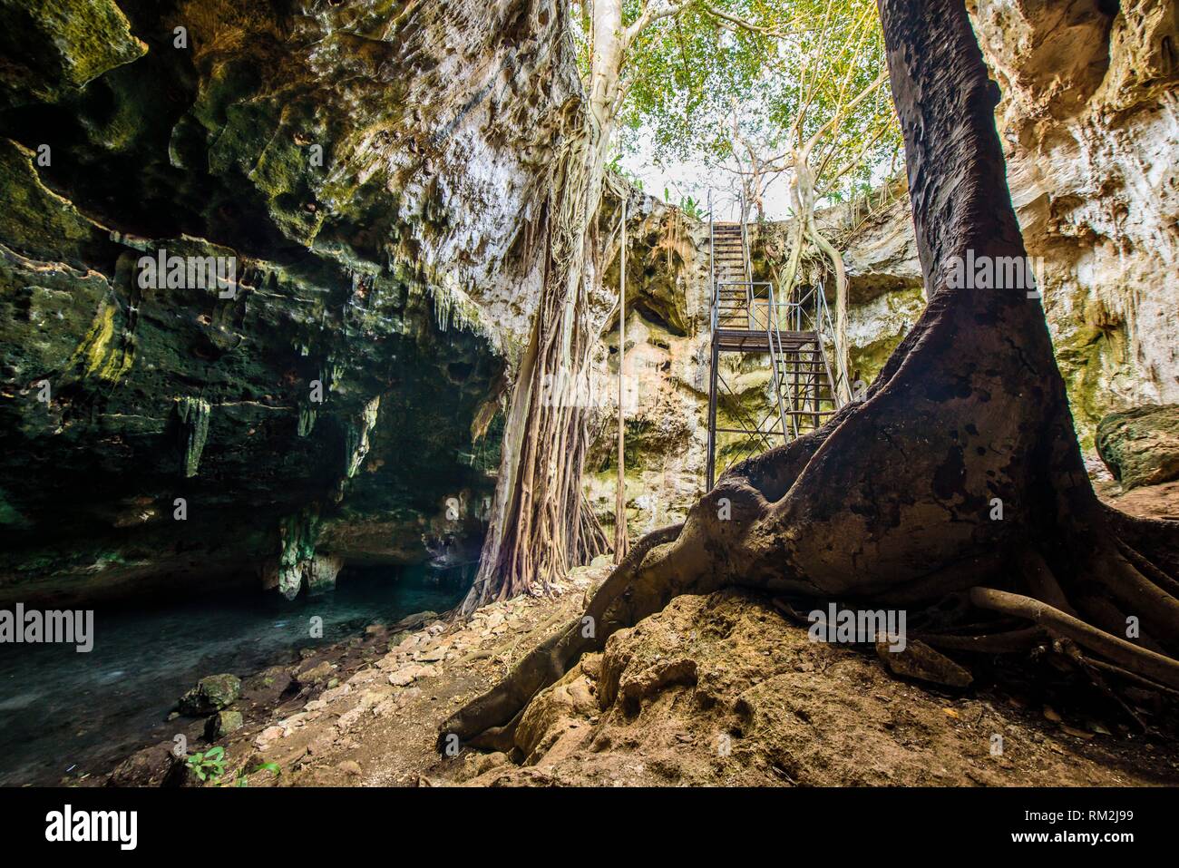 Mexico cenotes hi-res stock photography and images - Alamy