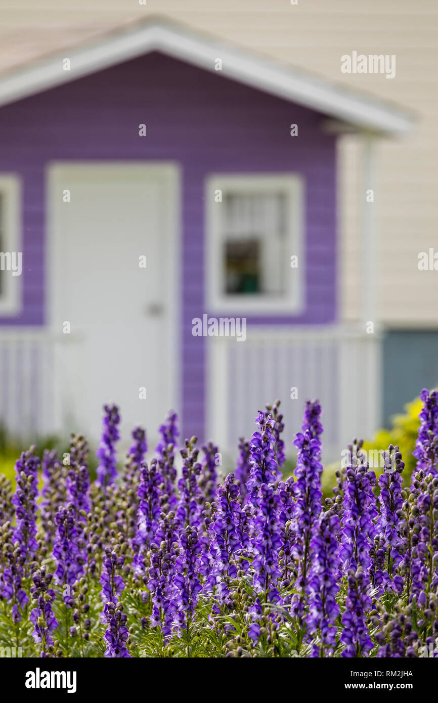 Purple shed hi-res stock photography and images - Alamy