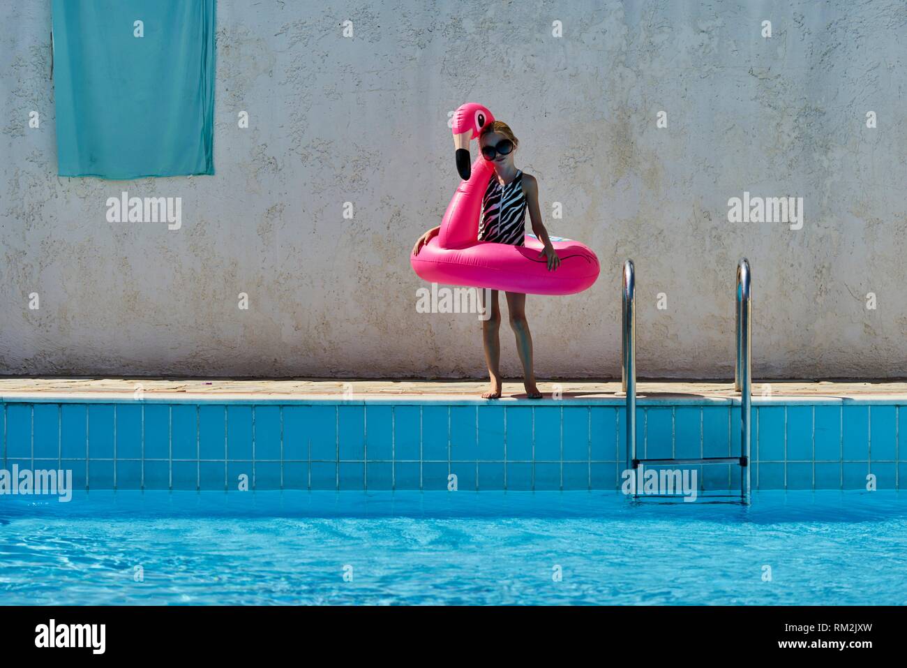 Rubber swan hi-res stock photography and images - Alamy