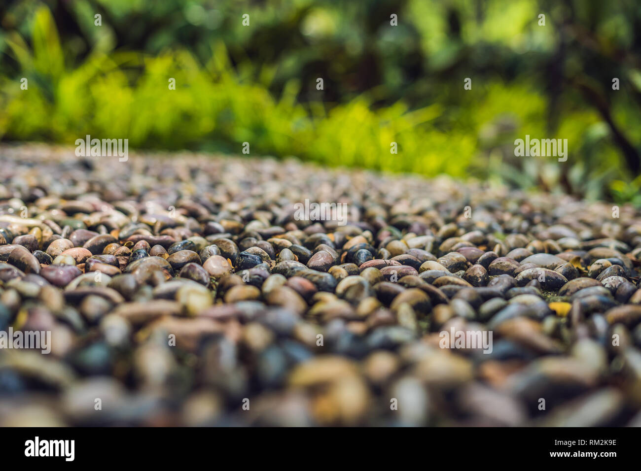 Reflexology path hi-res stock photography and images - Alamy