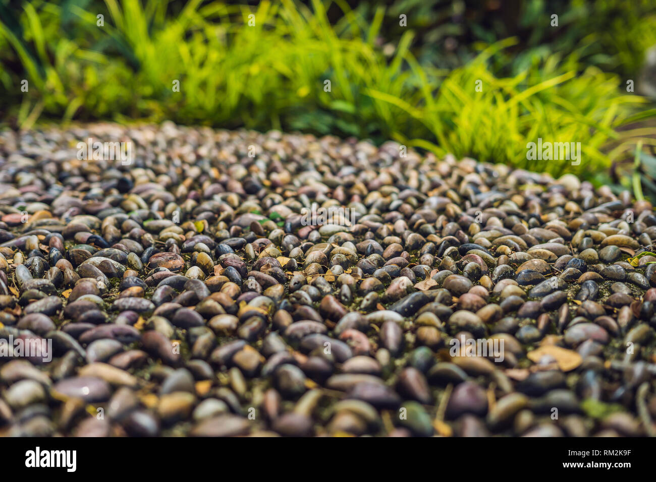 Reflexology path hi-res stock photography and images - Alamy
