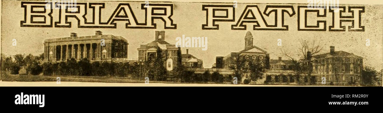 "The Briar patch" (1920 Stock Photo - Alamy