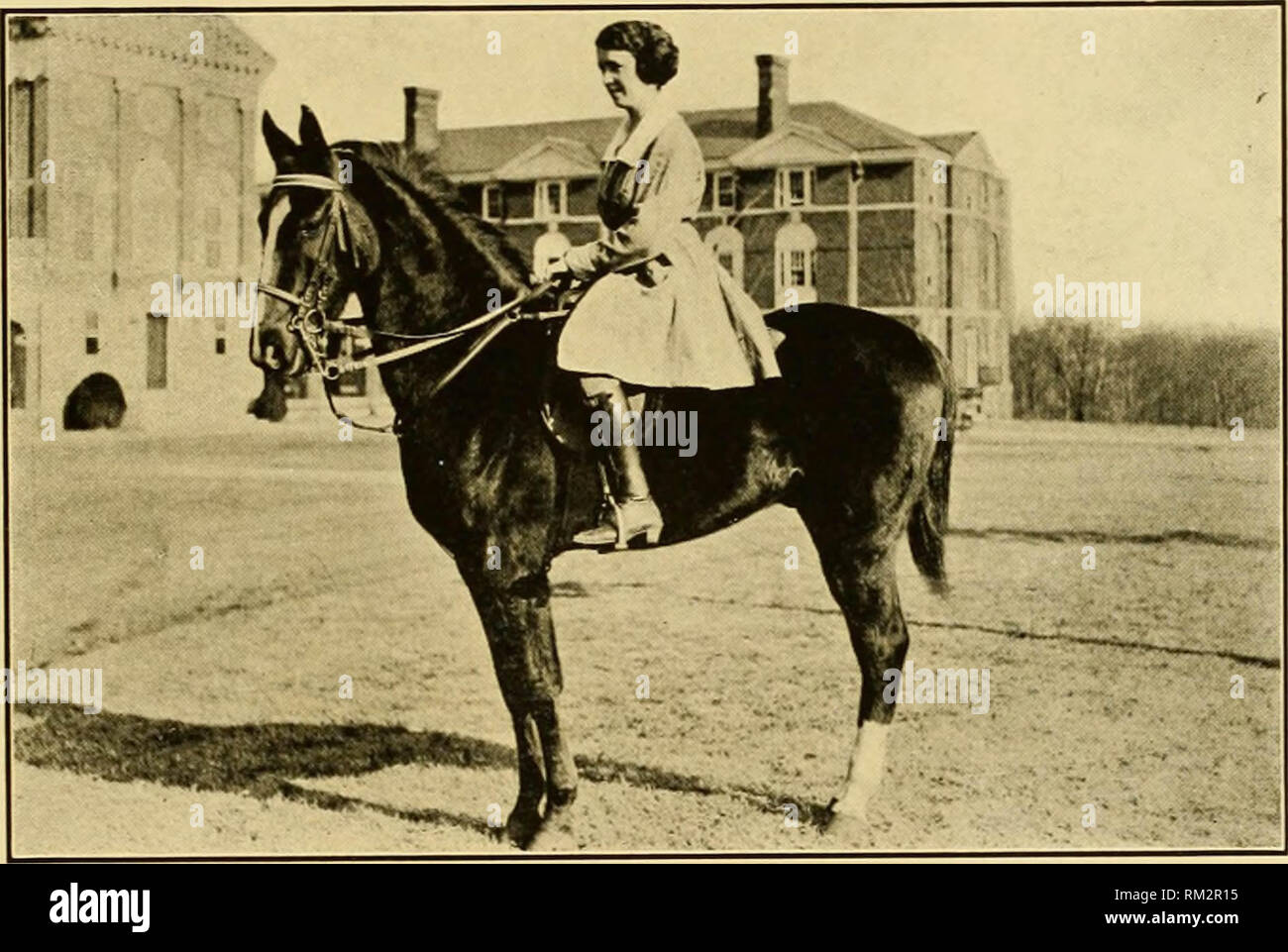 "The Briar patch" (1920 Stock Photo - Alamy