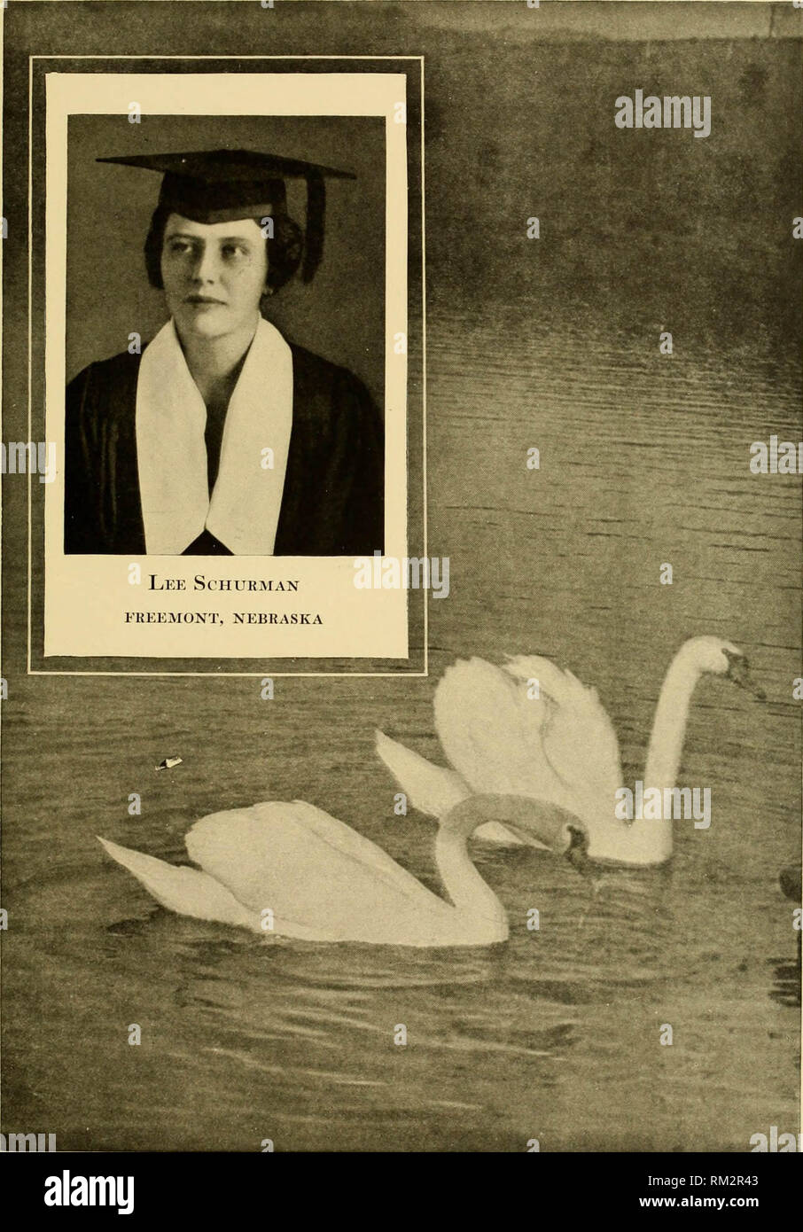 "The Briar patch" (1920 Stock Photo - Alamy