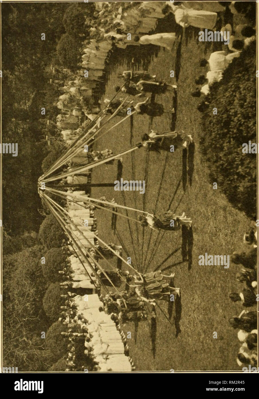 Briar patch hi-res stock photography and images - Alamy