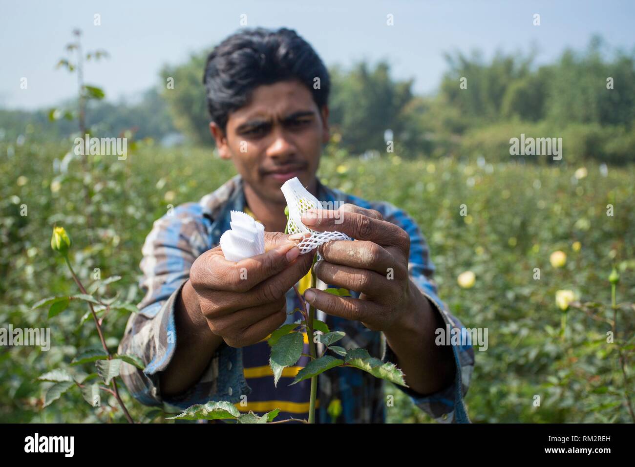 Indian businessman farmer hi-res stock photography and images - Alamy