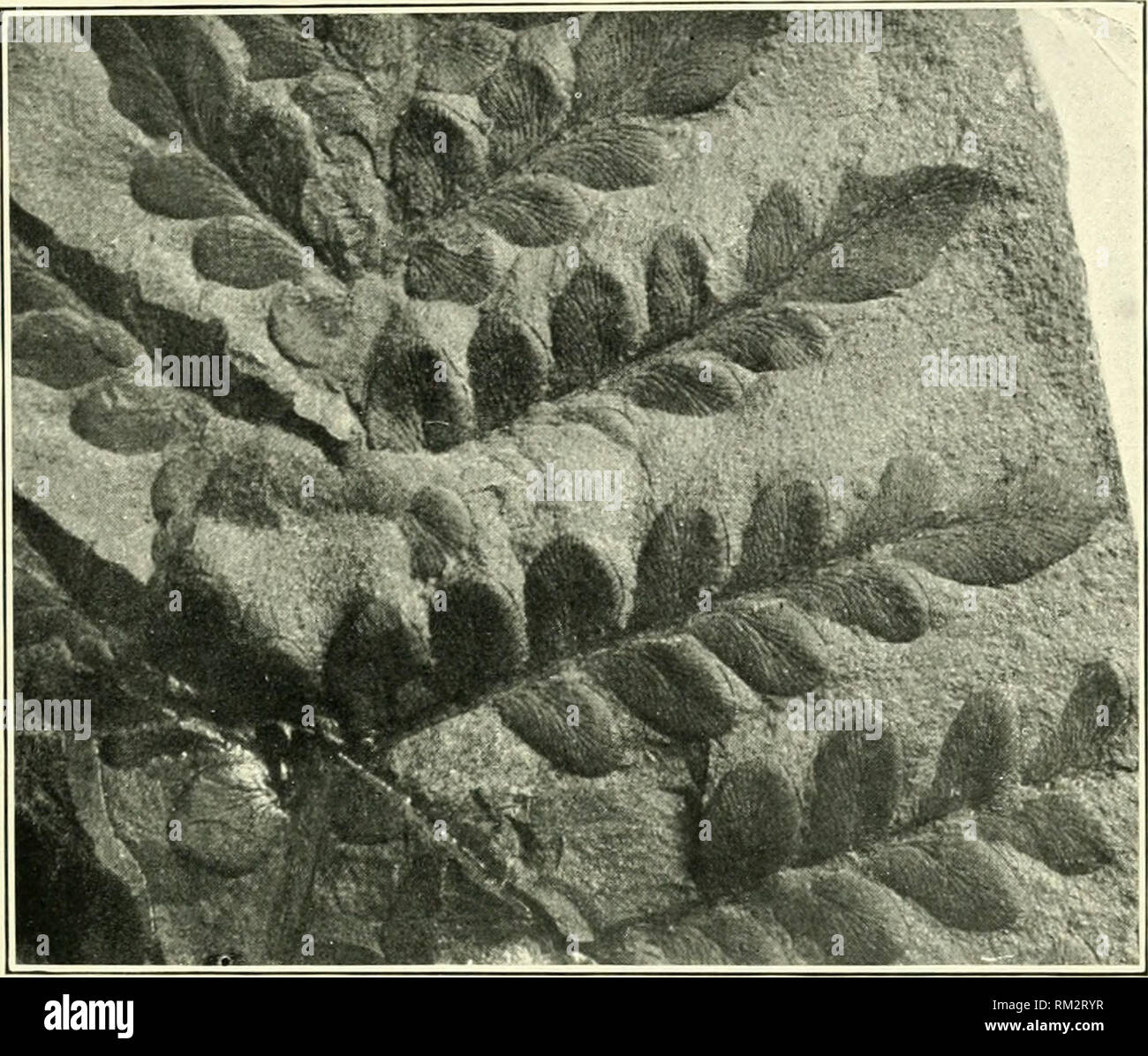 . Annual report of the Board of Regents of the Smithsonian Institution ...