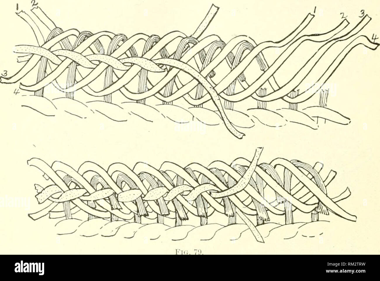 Four strand braid hi-res stock photography and images - Alamy