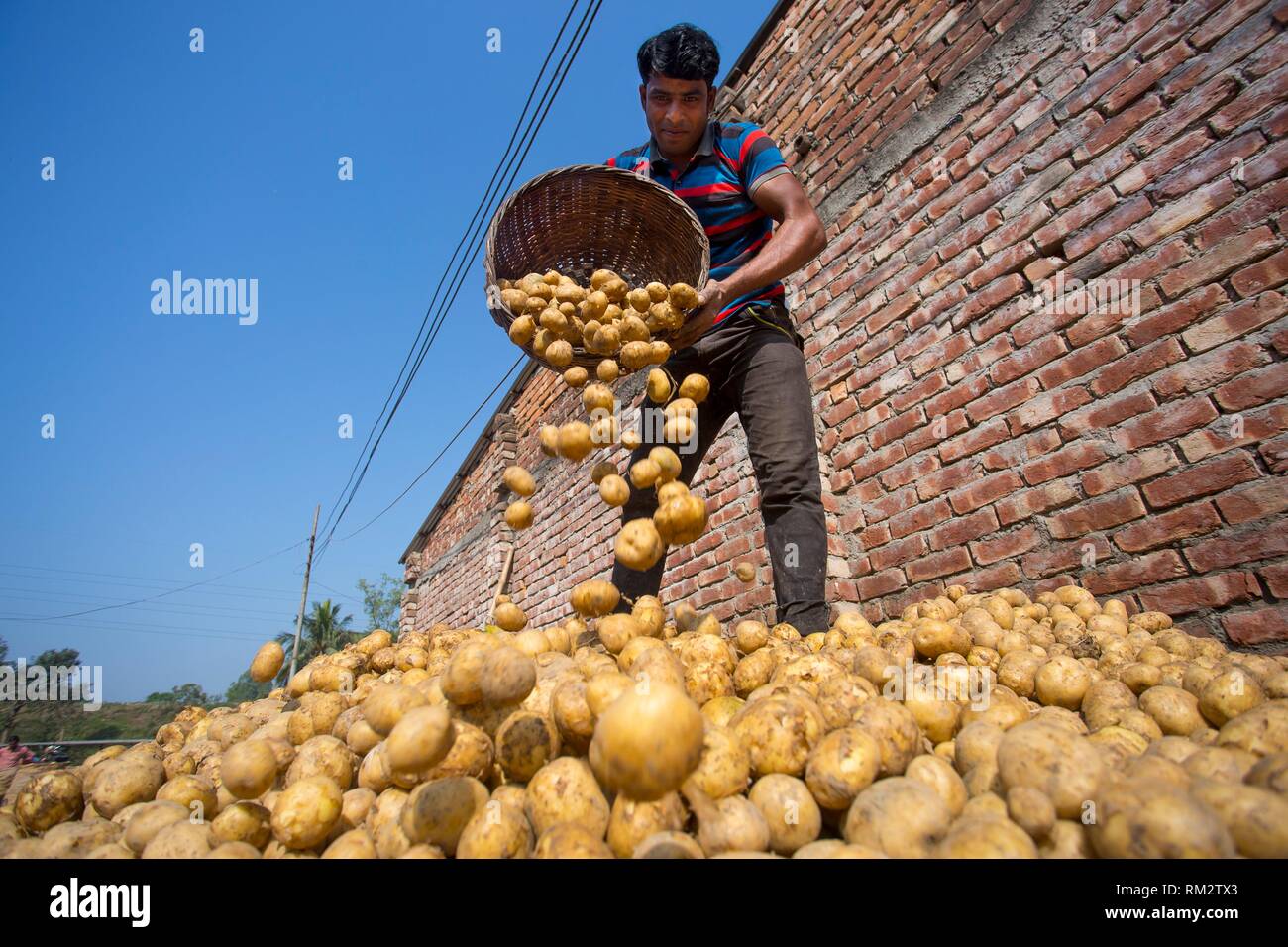 Bogra hi-res stock photography and images - Alamy