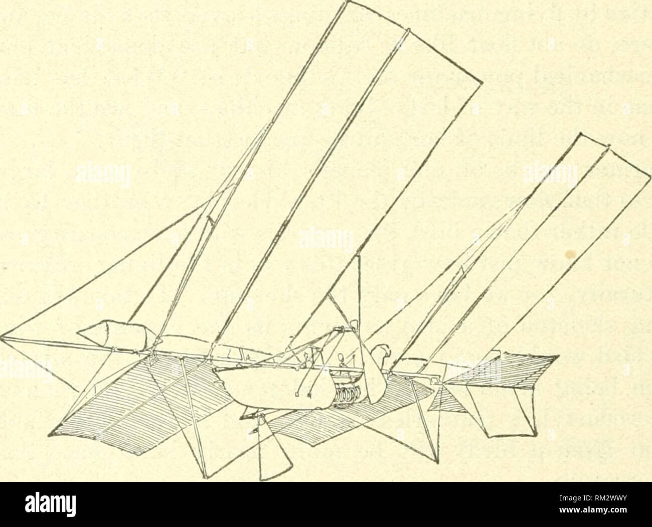 Largest know flying creature hi-res stock photography and images - Alamy