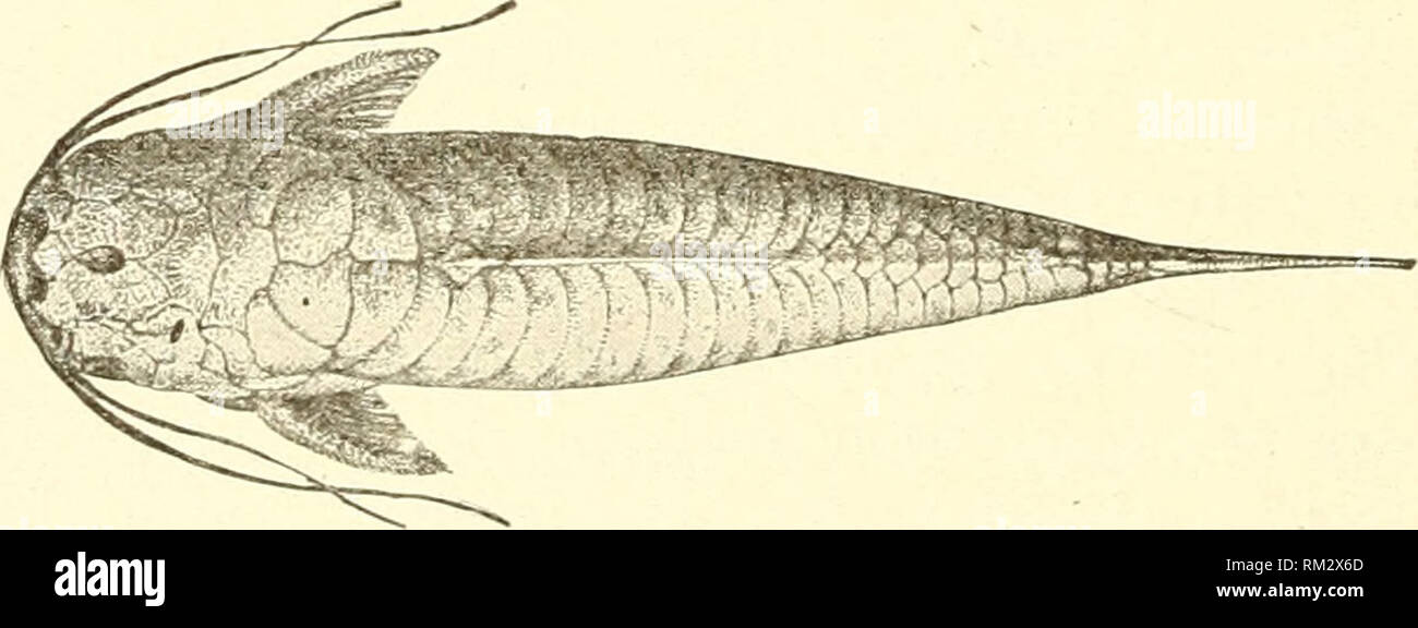 . Annual report of the Board of Regents of the Smithsonian Institution ...