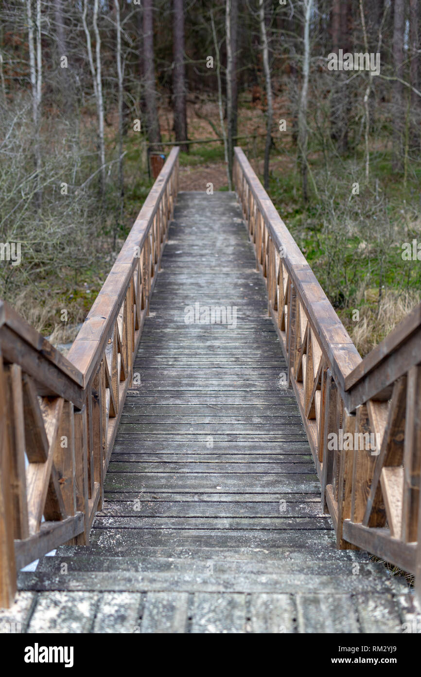 A solid wooden bridge over the forested wetlands. Forest reserve of ...