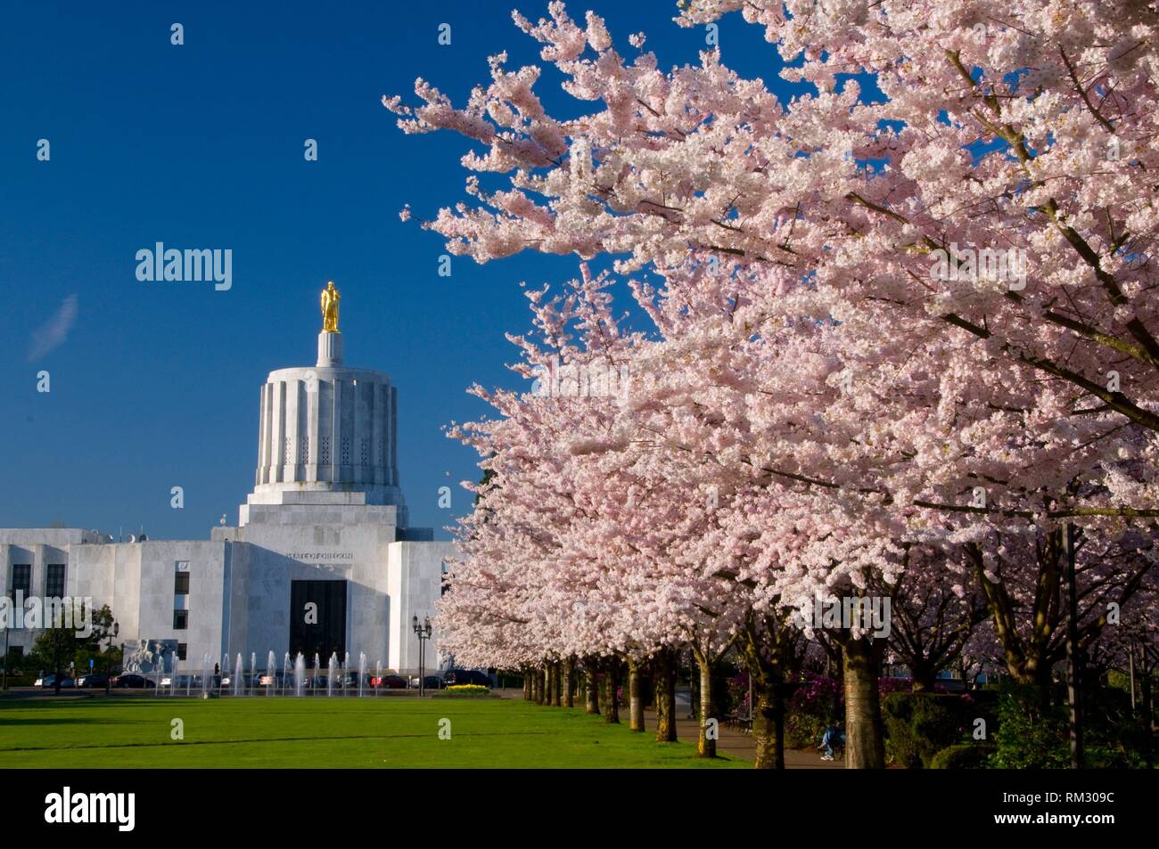 Oregon State Capitol High Resolution Stock Photography and Images - Alamy