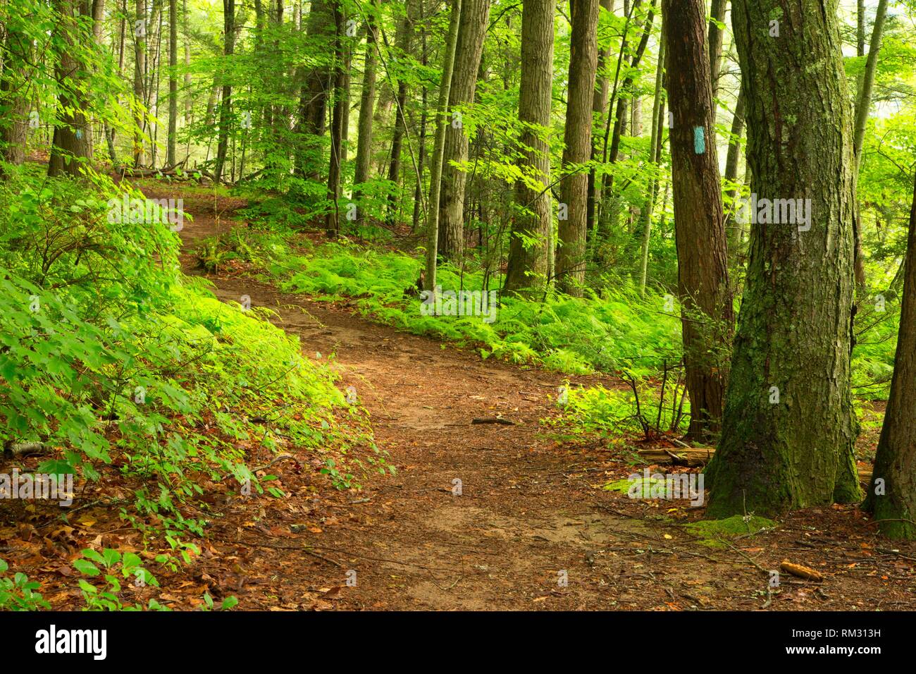 Zoar trail hi-res stock photography and images - Alamy