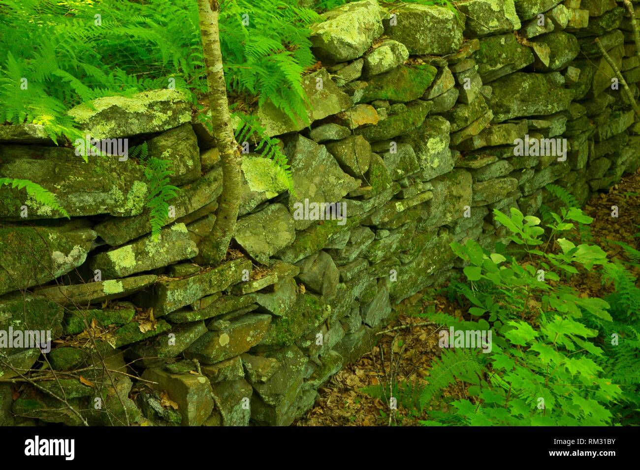 Heritage barn hi-res stock photography and images - Alamy