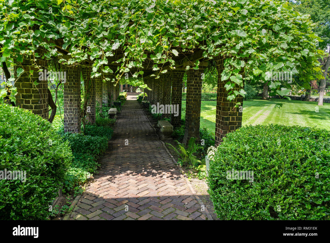 Green corridor hi-res stock photography and images - Alamy