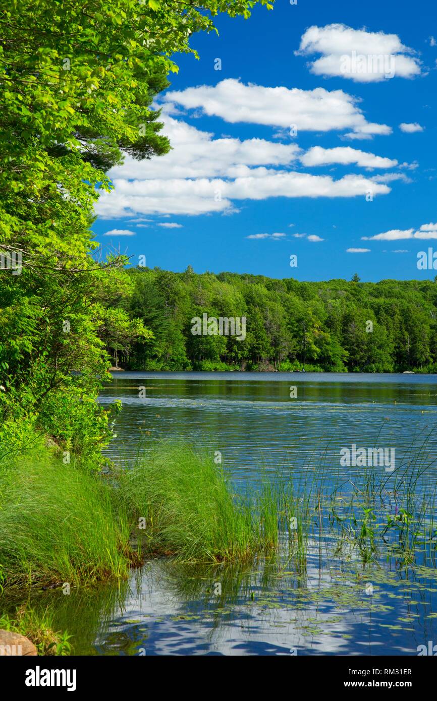 Day Pond State Park: A Connecticut Gem For Outdoor Enthusiasts