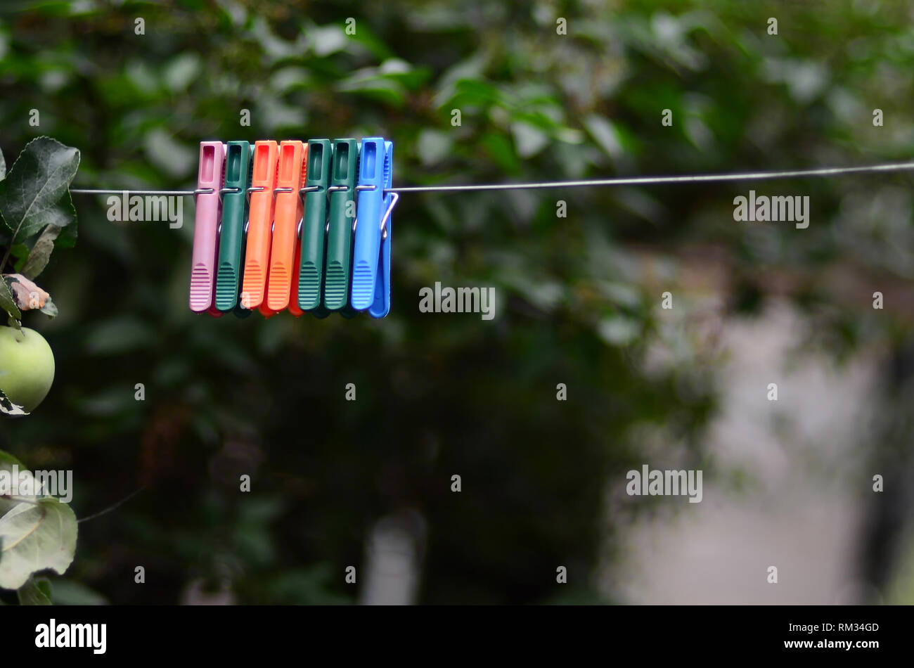Clothespins on a rope hanging outside house, apple tree and blurred ...