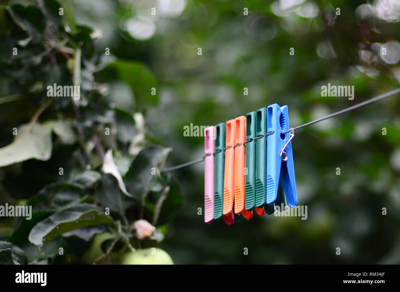 Clothespins on a rope hanging outside house, apple tree and blurred ...