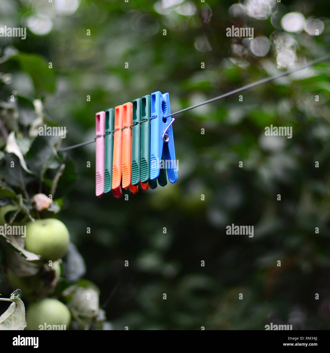 Clothespins on a rope hanging outside house, apple tree and blurred ...