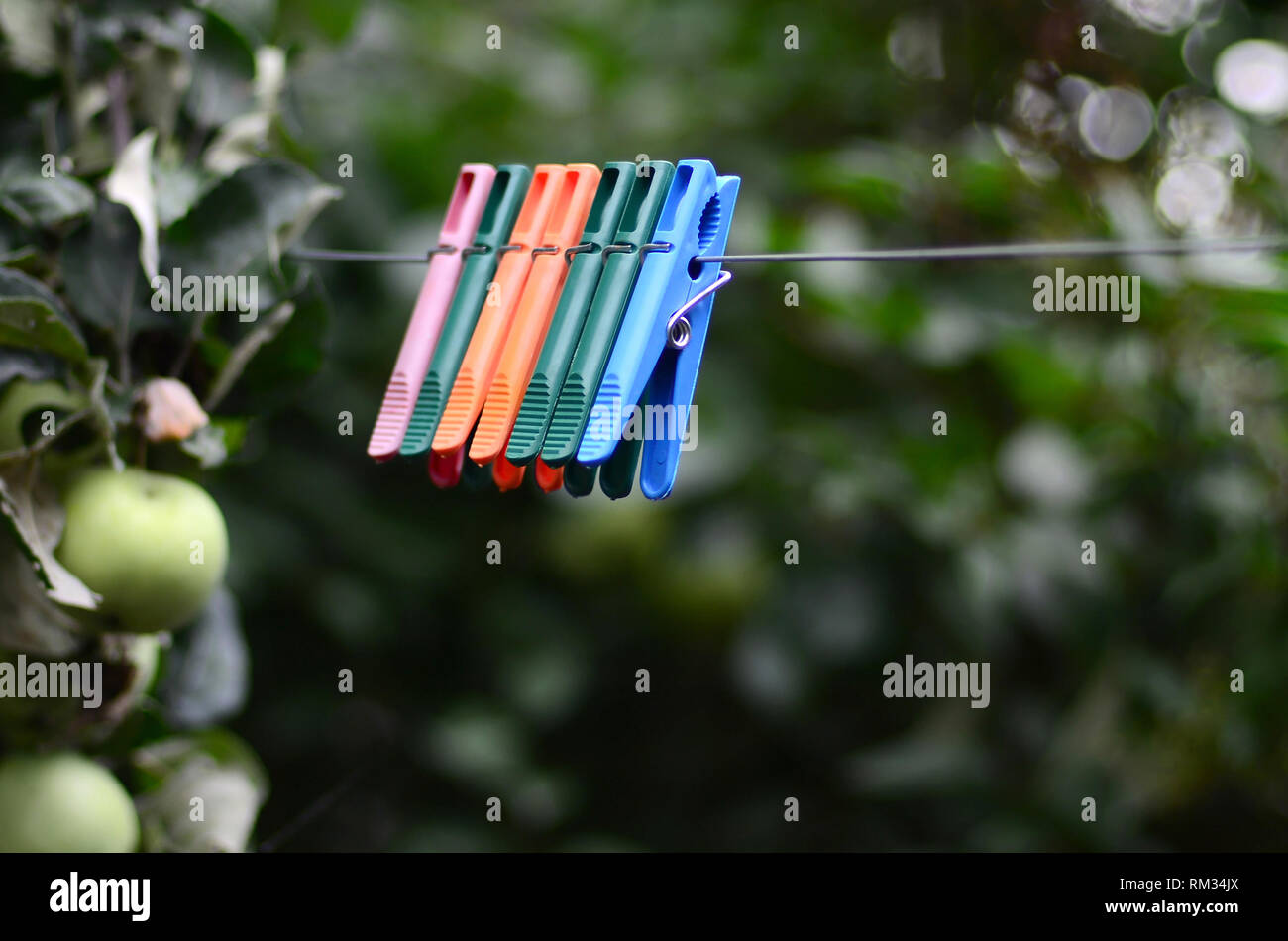 Clothespins on a rope hanging outside house, apple tree and blurred ...