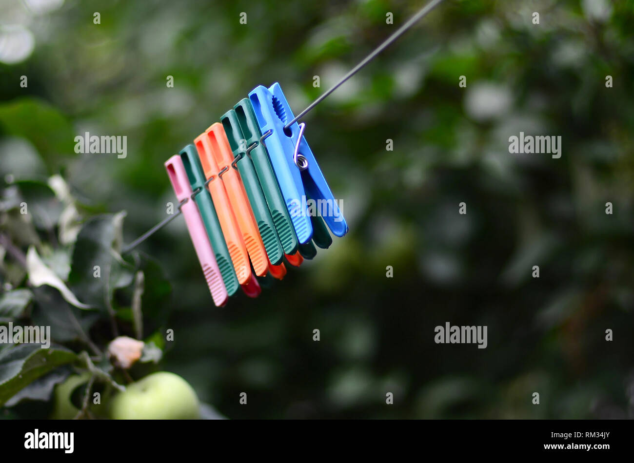 Clothespins on a rope hanging outside house, apple tree and blurred ...