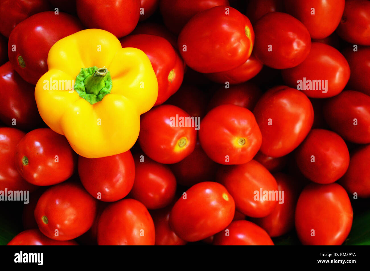 Yellow capsicum and red tomatoes, natural color pop Stock Photo - Alamy