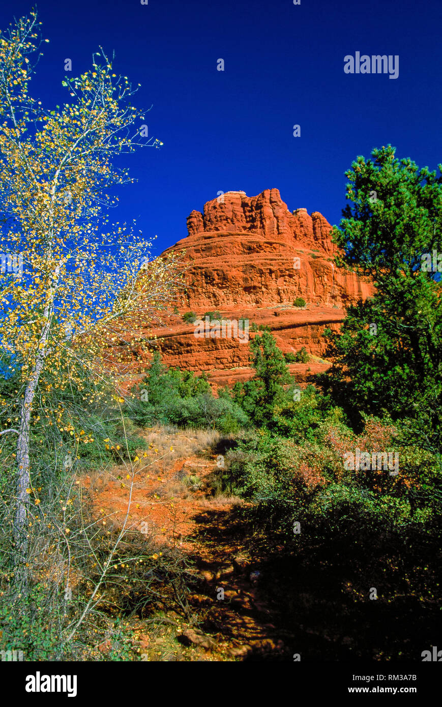 Red rock national park hi-res stock photography and images - Alamy