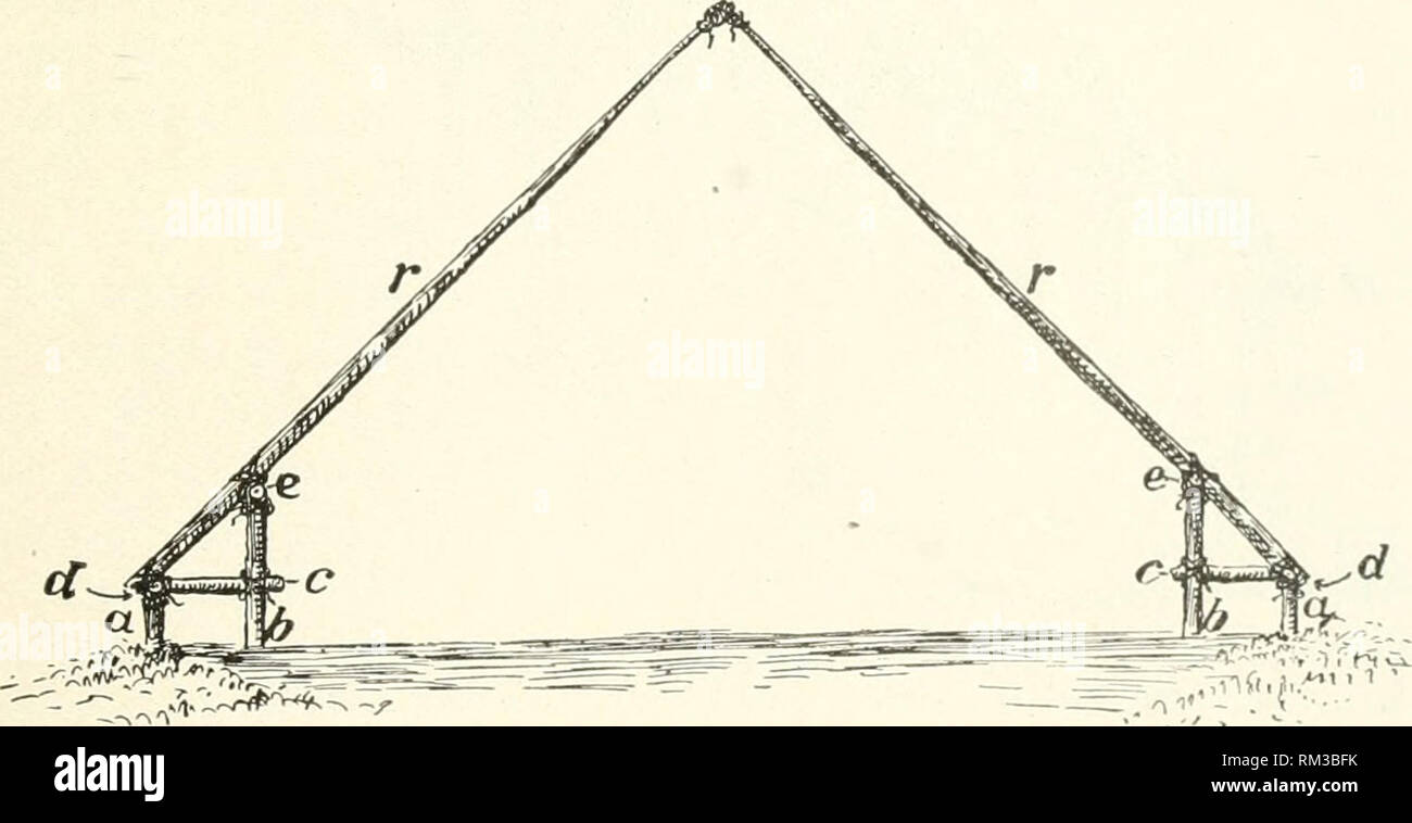 Rafter end hi-res stock photography and images - Alamy