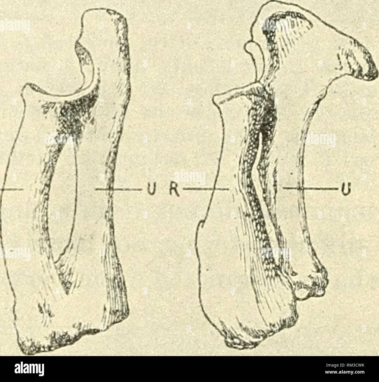 . Annual report of the Board of Regents of the Smithsonian Institution ...