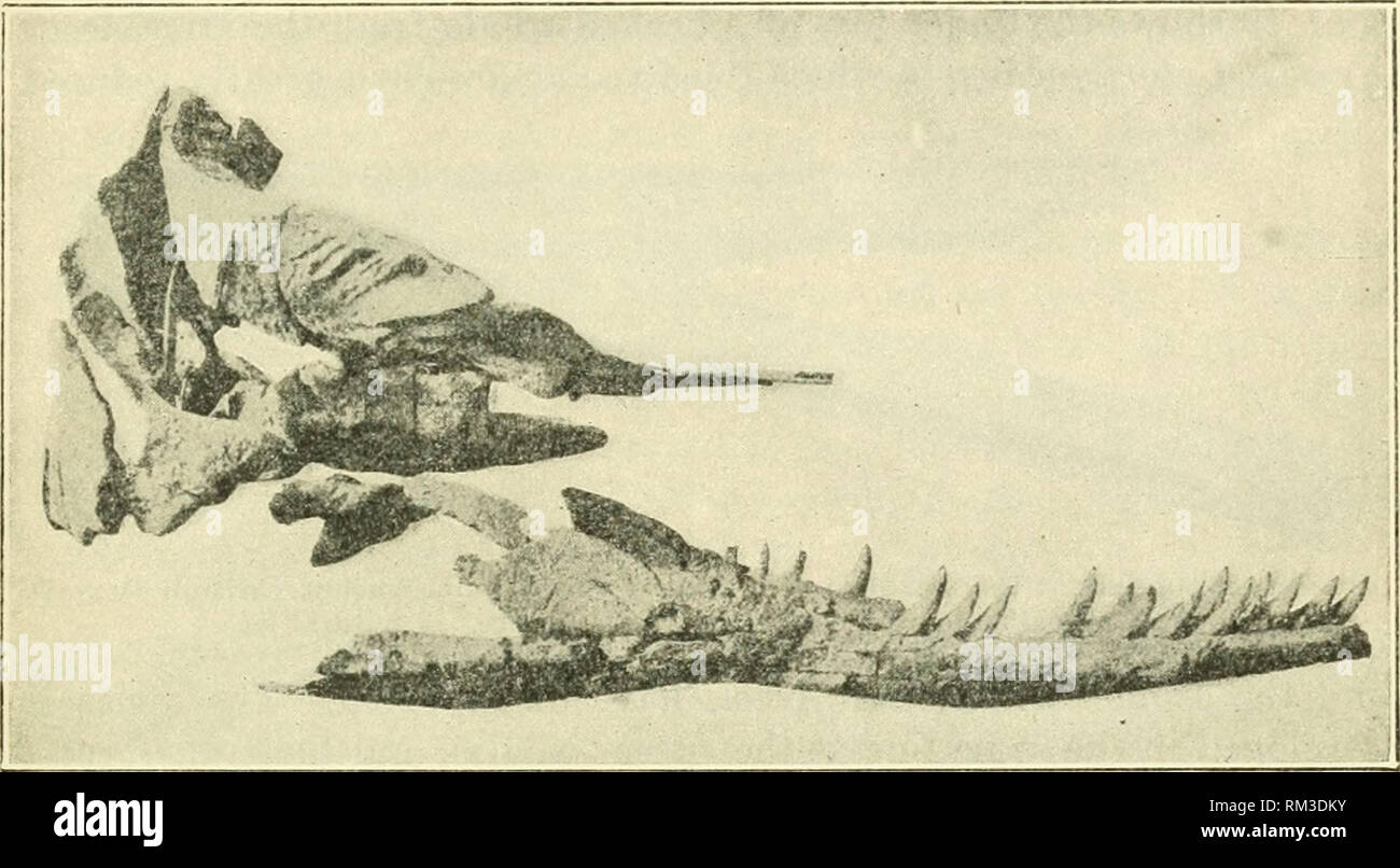 . Annual report of the Board of Regents of the Smithsonian Institution ...