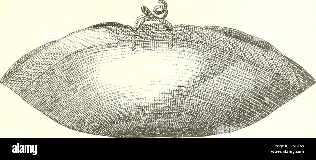 Lip plugs hi-res stock photography and images - Alamy