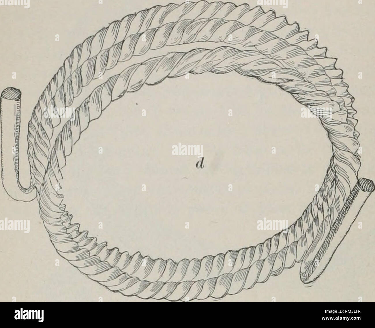 Torque celtic hi-res stock photography and images - Alamy