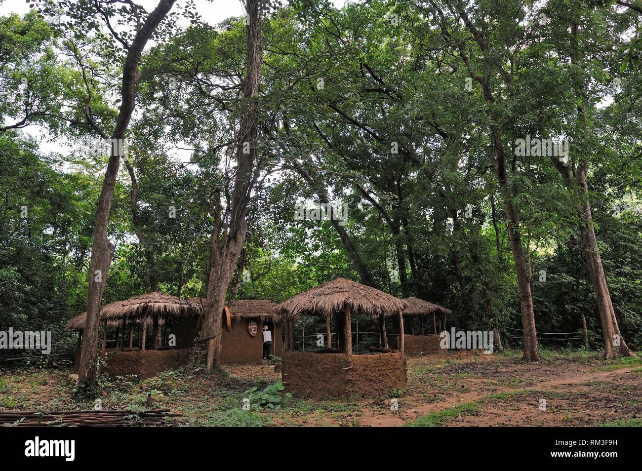 Indigenous national park hi-res stock photography and images - Alamy