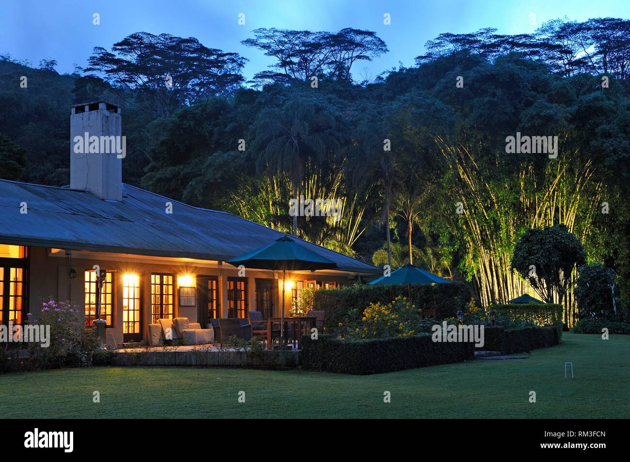 Ceylon tea trails norwood hi-res stock photography and images - Alamy