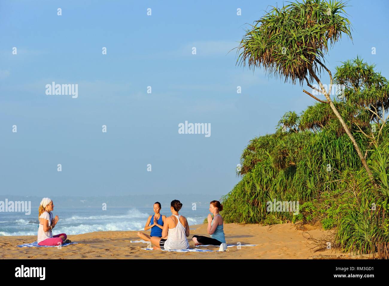 Female yoga young hi-res stock photography and images - Alamy