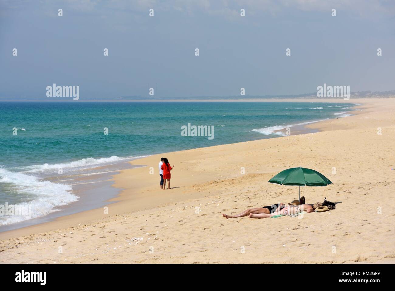 Carvalhal hi-res stock photography and images - Alamy