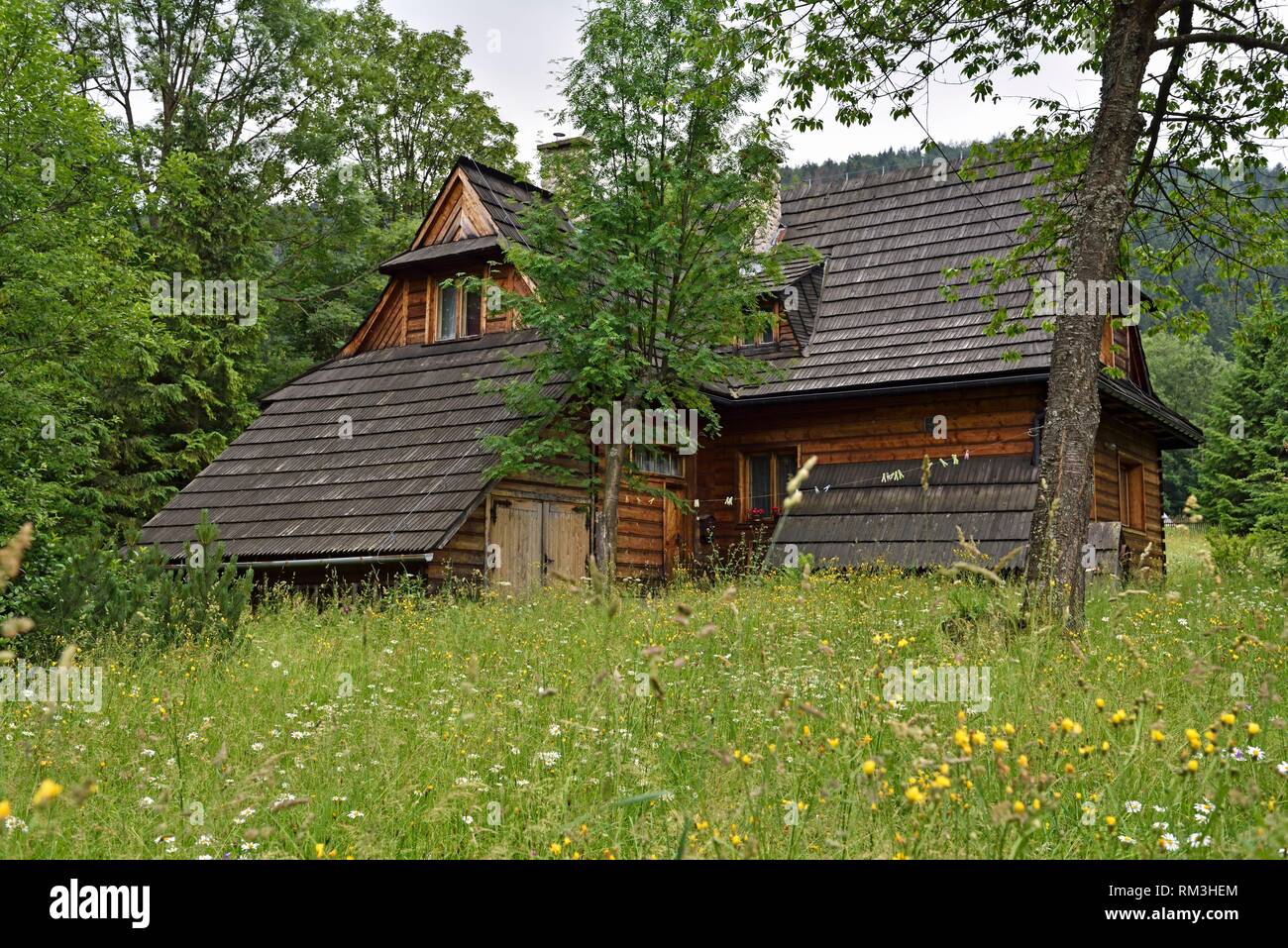 maison de style Zakopane, Zakopane, region Podhale, Massif des Tatras ...
