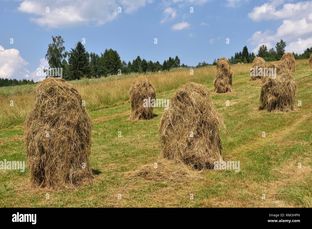 Foin High Resolution Stock Photography and Images - Alamy