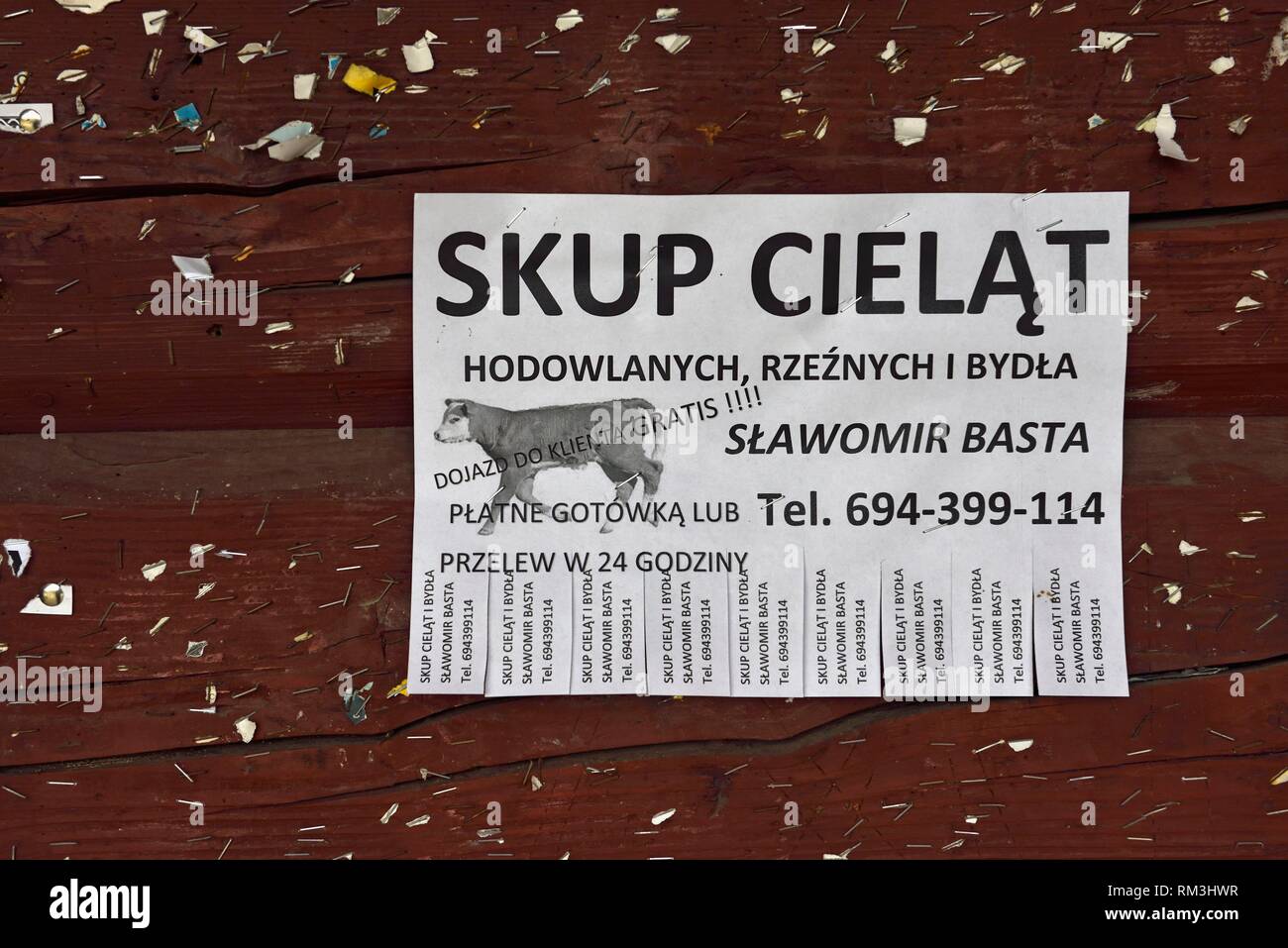 Shelter 2 gratis - rayloxa Shelter 2 gratis - rayloxa