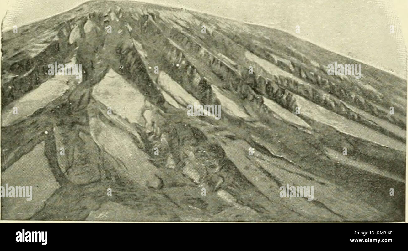 Sylvite hi-res stock photography and images - Alamy