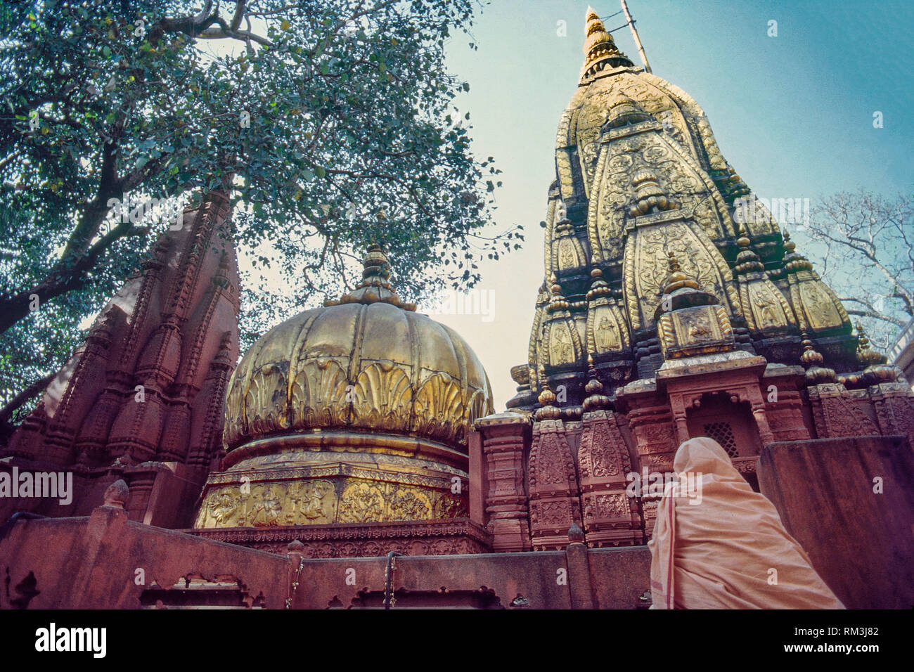 Kashi Vishwanath Shiva Hindu Temple, Varanasi, Uttar Pradesh, India ...