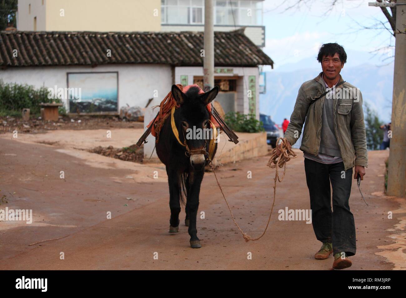 Walking with donkey hi-res stock photography and images - Alamy