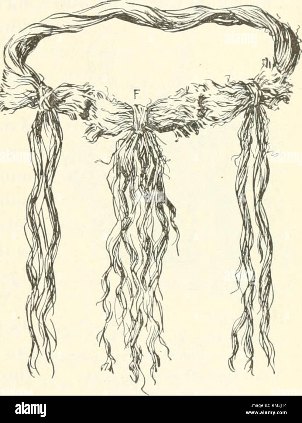 Rival tribes hi-res stock photography and images - Alamy