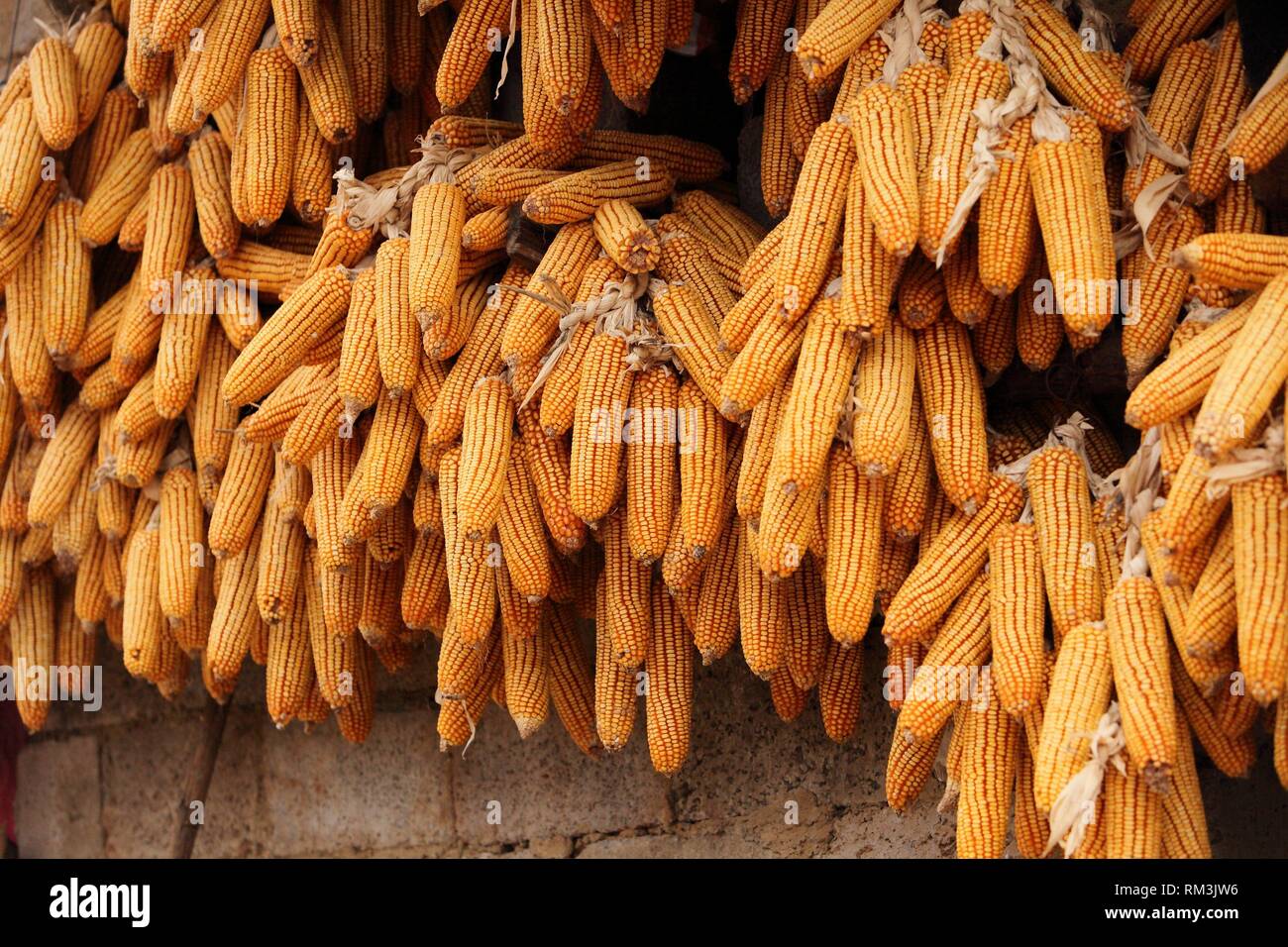 Agriculture china chinese drying hi-res stock photography and images ...