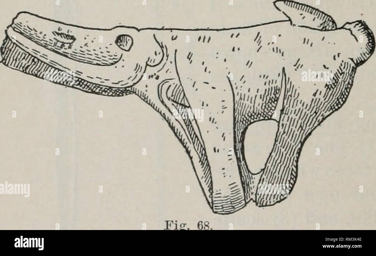 Ivory laid board hi-res stock photography and images - Alamy